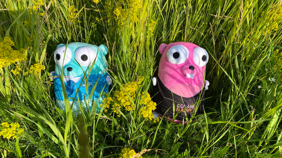 Golang Market Store – GolangMarket Gopher Store